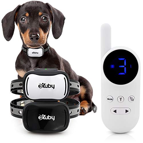 eXuby Tiny Dual Shock Collar – Smallest Collar on The Market – Sound ...