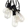 Hometown Evolution, Inc. Vintage Outdoor String Lights (100 Ft, ST40 ...