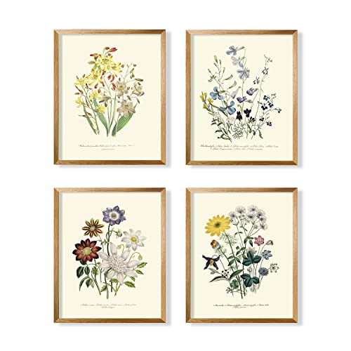 Amazon.com: Rustic Modern French Country Cottagecore Wall Art ...