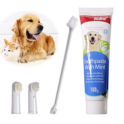 Top 30 Best Dog Toothpastes Reviewed in 2025 | PetStruggles