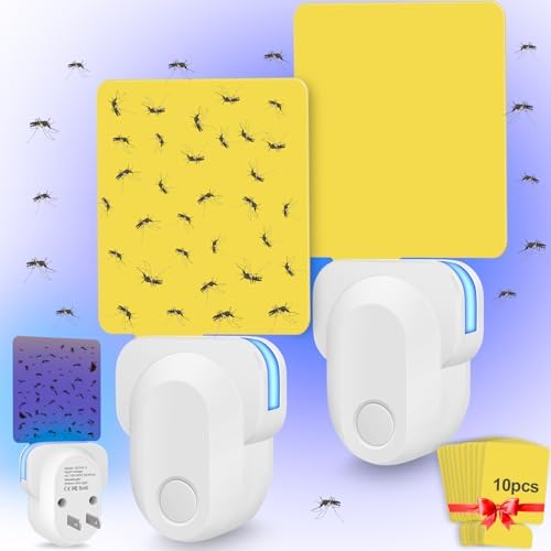 Amazon.com : ENERJARY Flying Insect Trap Plug-in Indoor, Gnat Traps for ...