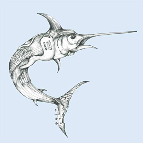 Amazon.com: How to Avoid Lightning Strikes : Luke Leek: Digital Music