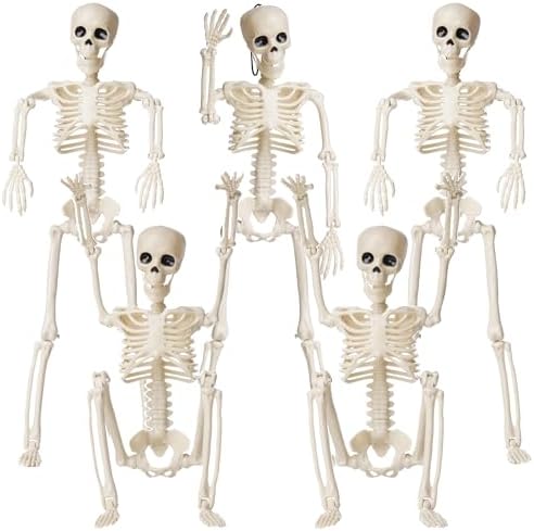 Amazon.com : Halloween Skeletons Decorations, 5 Pack 16" Full Body ...