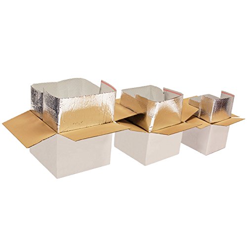 Insulated Delivery Box + Coolant Ice Packs – Perfect for Cold Transport ...