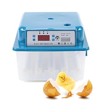 16 Eggs Incubators for Hatching Egg Fahrenheit with Automatic Turner, Temperature Control ...