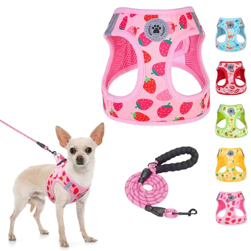 Rei Dog Harness – The 15 best products compared - Wild Explained
