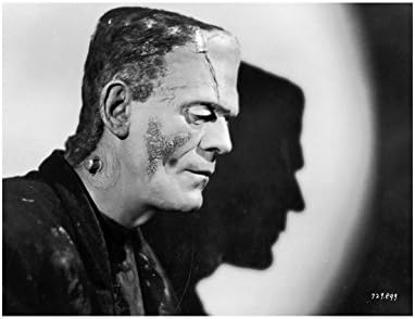 Boris Karloff as Frankenstein Side Profile in Costume 8 x 10 Inch Photo ...