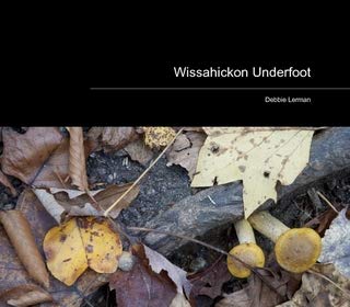 Wissahickon Underfoot: Debbie Lerman: Amazon.com: Books