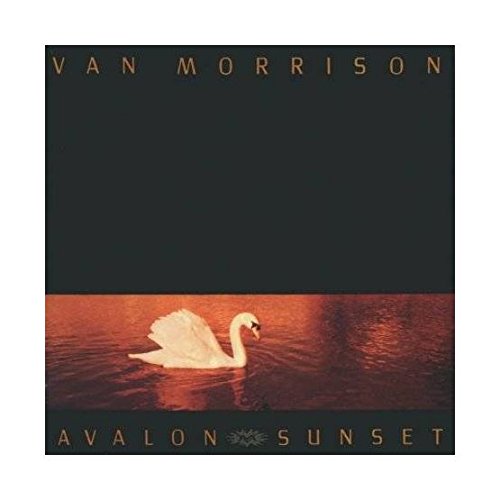 Buy Avalon Sunset Online at Low Prices in India | Amazon Music Store ...