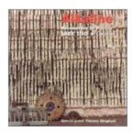 Alessandro Di Puccio, Alessandro Fabbri, Alberto Marsico, Tiziana ...