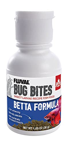 The Best Food For Betta Fish Based On Ingredient Quality