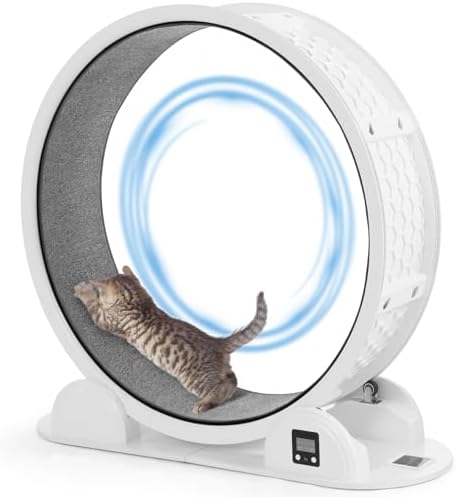 Amazon.com : Star Cat Wheel, Cat Treadmill, Exercise Wheel for Running ...