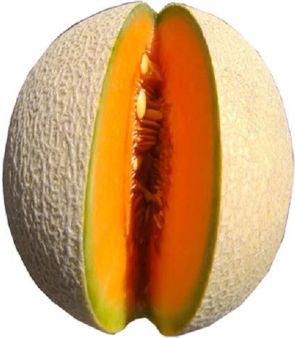 Hybrid Kharbuj/Musk Melon Seed- 300 : Amazon.in: Garden & Outdoors