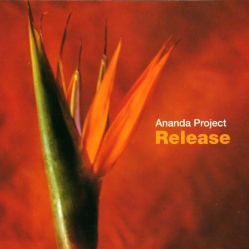Release: Amazon.co.uk: CDs & Vinyl