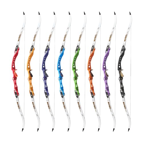 Sanlida Archery Myth 10 Flagship Recurve Bow Kit for Competition ...