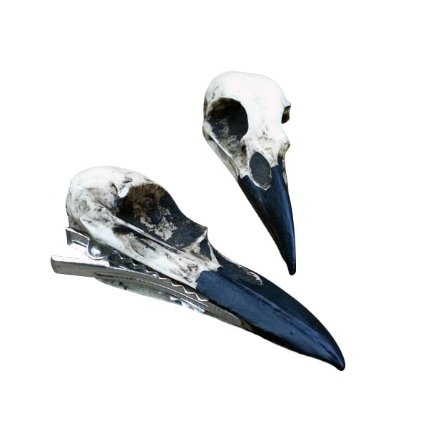Amazon.com : Halloween Hair Accessories Raven Bird Skull Hair Clips ...