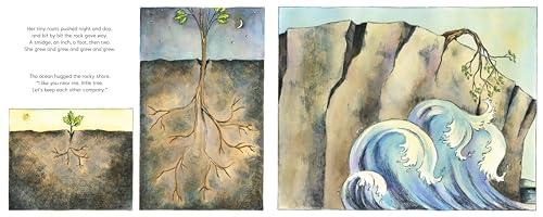 Snapklik.com : The Hugging Tree: A Story About Resilience