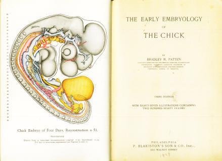 The Early Embryology of the Chick [With 87 Illustrations Containing 280 ...