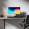 Amazon.com: Raico Desk Cockpit Shelf Monitor Stand System Dual Screen ...