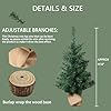 Amazon.com: 18" Small Christmas Tree for Tabletop- Green Artificial ...