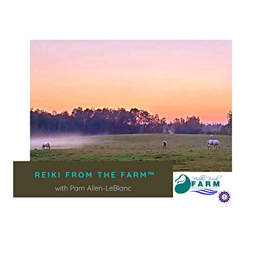 Reiki from the Farm™ : Pamela Allen-LeBlanc LRMT: Amazon.in: Audible ...