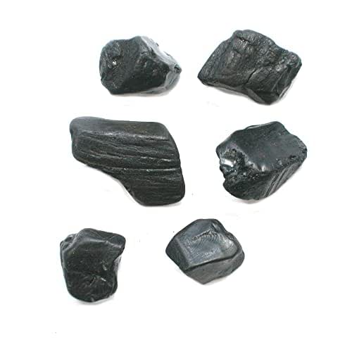 Amazon.com: DVH 5g Genuine Whitby Jet Fossil Fuel Jewels for Trans ...