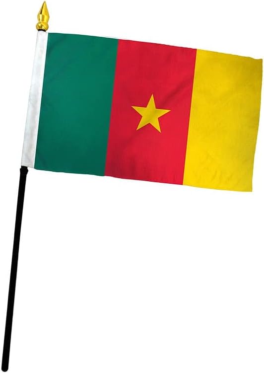 Amazon.com : New 1 Dozen Cameroon Flags 4x6in Stick Flag of Cameroon ...