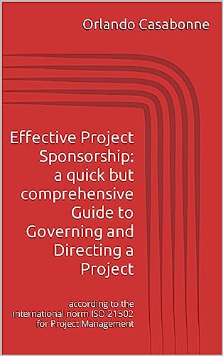 Amazon.com: Effective Project Sponsorship: A Quick but Comprehensive ...