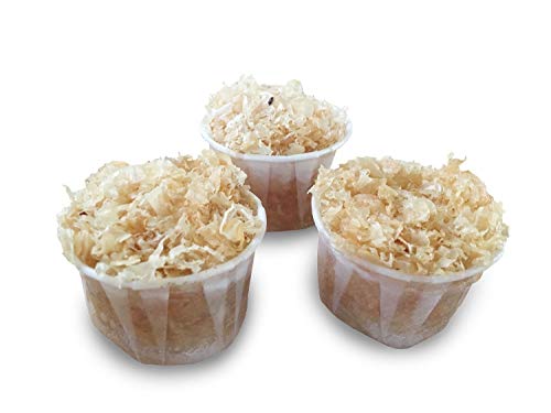 Campfire Starter – The 16 best products compared - Wild Explained