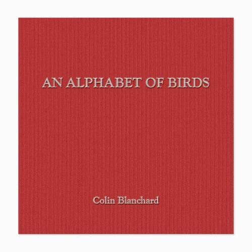Buy An Alphabet of Birds Book Online at Low Prices in India | An ...