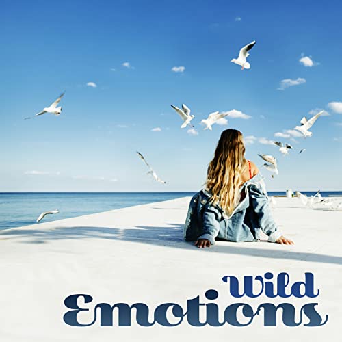 Écouter Wild Emotions: Chillout and Let Yourself Go par Midnight Desire ...