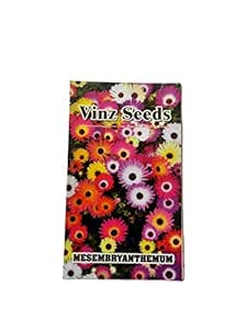 Vinz seeds Mesembryanthemum 10 gm : Amazon.in: Garden & Outdoors