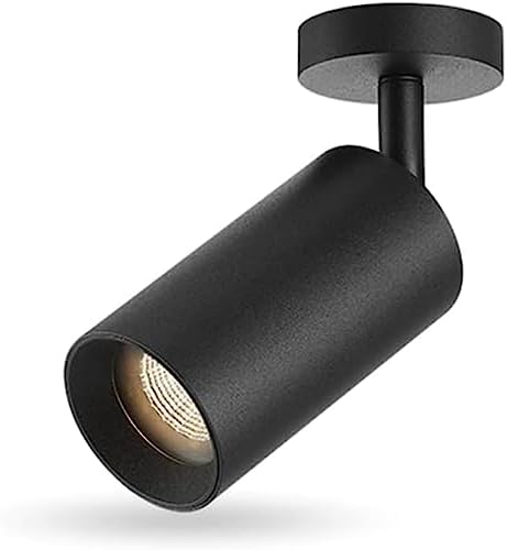 ZOREZA Spot Lights for Home Wall, LED Focus Light for Wall Indoor Floor ...