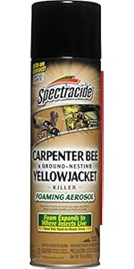 Amazon.com : Spectracide Wasp & Hornet Trap Refill, Lure Refill for ...