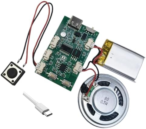 Amazon.com: Voice/MP3 Record and Playback Board Kit for STEM and DIY ...
