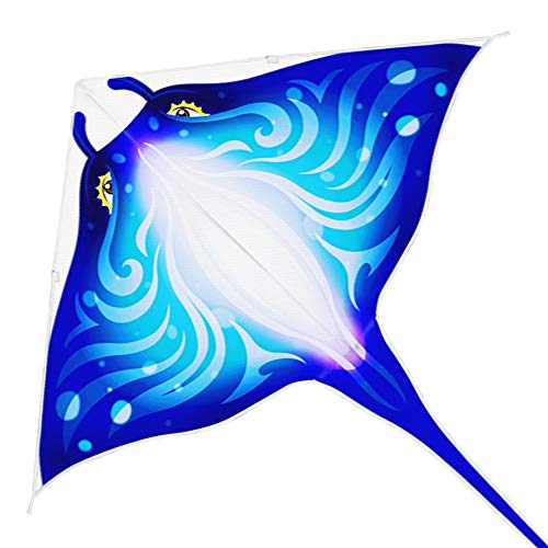 10 Best Kites for Low Wind Conditions – Elevate Your Kite Flying Experience