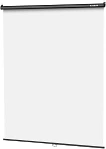 Amazon.com : RAUBAY Retractable Pull Down White Screen Backdrop - 59.8 ...