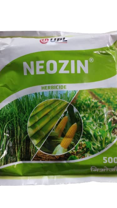 Neozin 500g : Amazon.in: Health & Personal Care