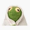 Amazon.com: Kermit in A Blanket Sticker Decal Vinyl Bumper Stickers ...