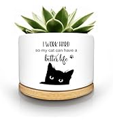 Amazon.com: Lasimfa Funny Succulents Plant Pots, Set of 2, Small ...