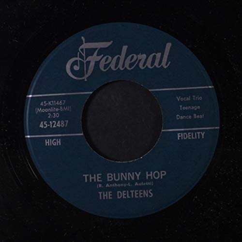 Amazon.com: the hokey-pokey / the bunny hop: CDs & Vinyl