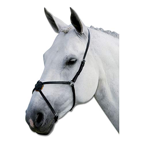 Reithalfter: Test & Empfehlungen (05/20) | PETMEISTER