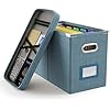 Amazon.com : Oterri File Organizer Box with Lid, Hanging Filing File ...