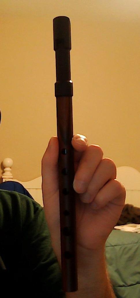 Amazon.com: Cocobolo Penny Whistle in Key of D – Professional Flute ...