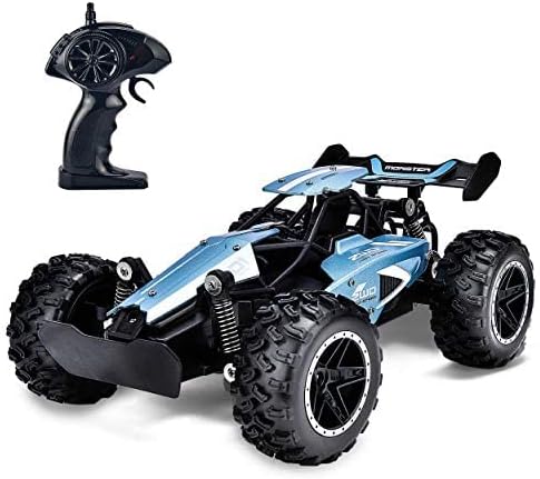 Power Gale Pro RC Cars 1:18 Scale 2.4Ghz High Speed Remote Control Car ...