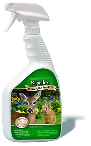 Happy Haute Home's Amazon Page