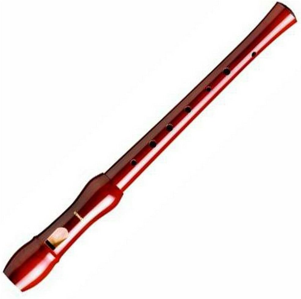 Hohner Inc, USA 9520 Two Piece C-Soprano Pearwood Recorder : Amazon.ca ...