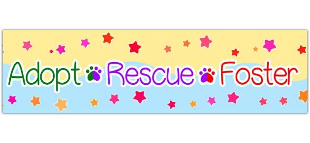 Amazon.com: Adopt Rescue Foster Decal, Car Decal, Laptop Sticker, Pet ...