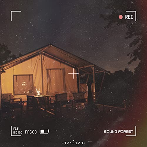 Environmental sounds Bonfire and Insect sounds at night de Sound Forest no Amazon Music Unlimited