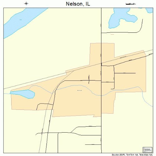 Large Street & Road Map of Nelson, Illinois IL - Printed poster size ...